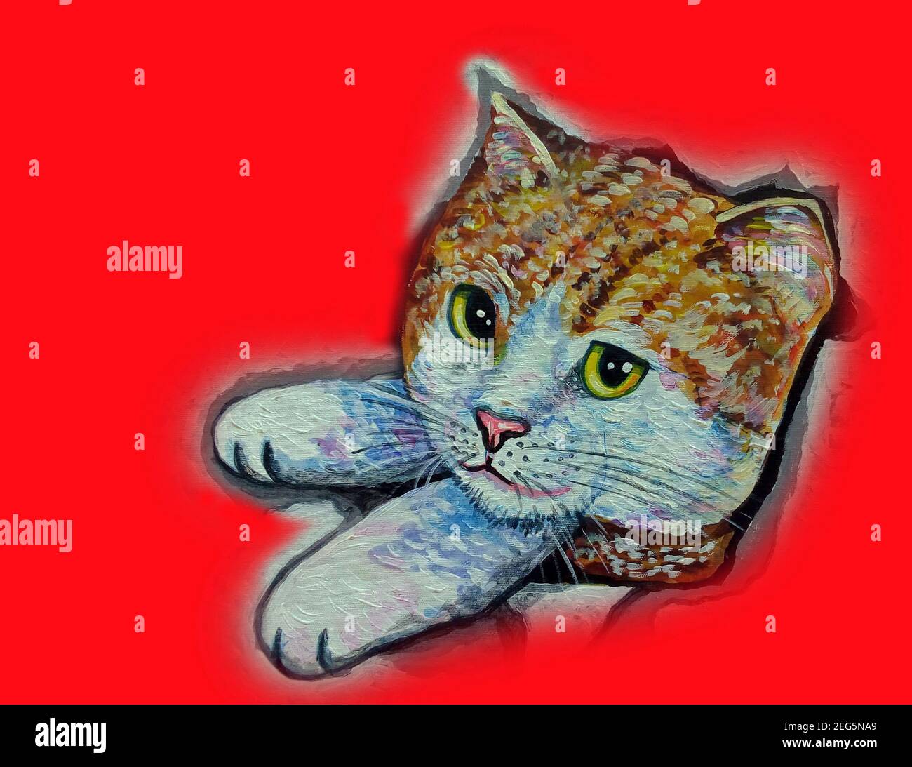 Smiling cat hi-res stock photography and images - Alamy