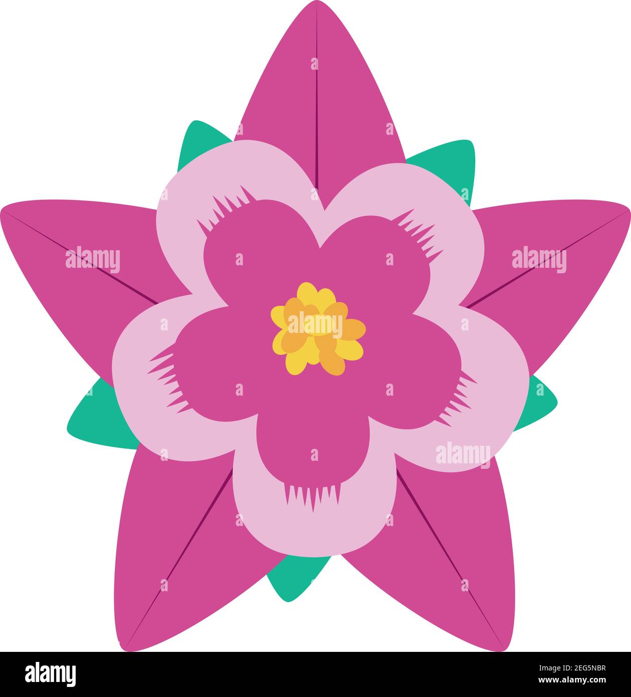 beautiful pink flower icon over white background, colorful design ...