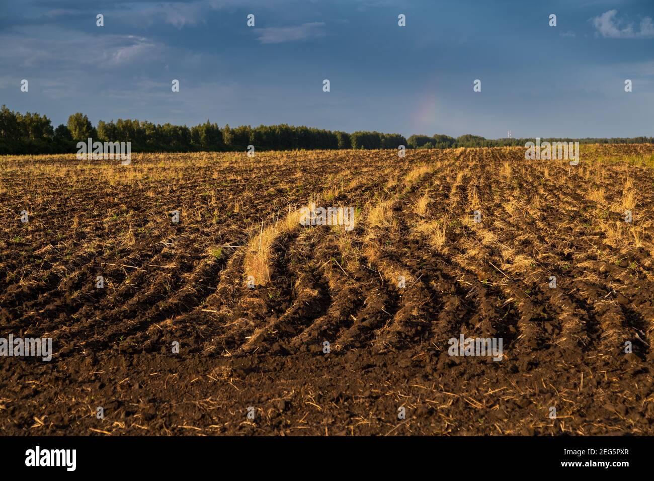Plowed grain hi-res stock photography and images - Alamy