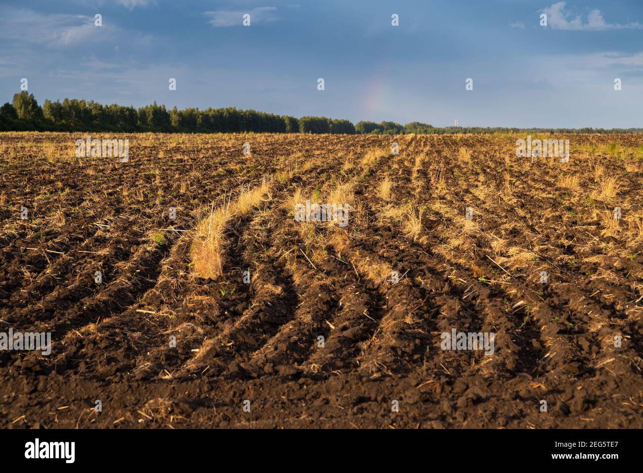 Plowed grain hi-res stock photography and images - Alamy