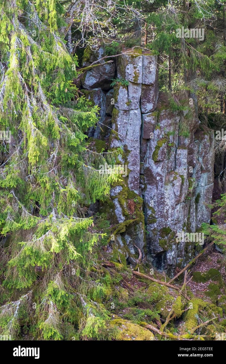 Boreal mountain hi-res stock photography and images - Alamy