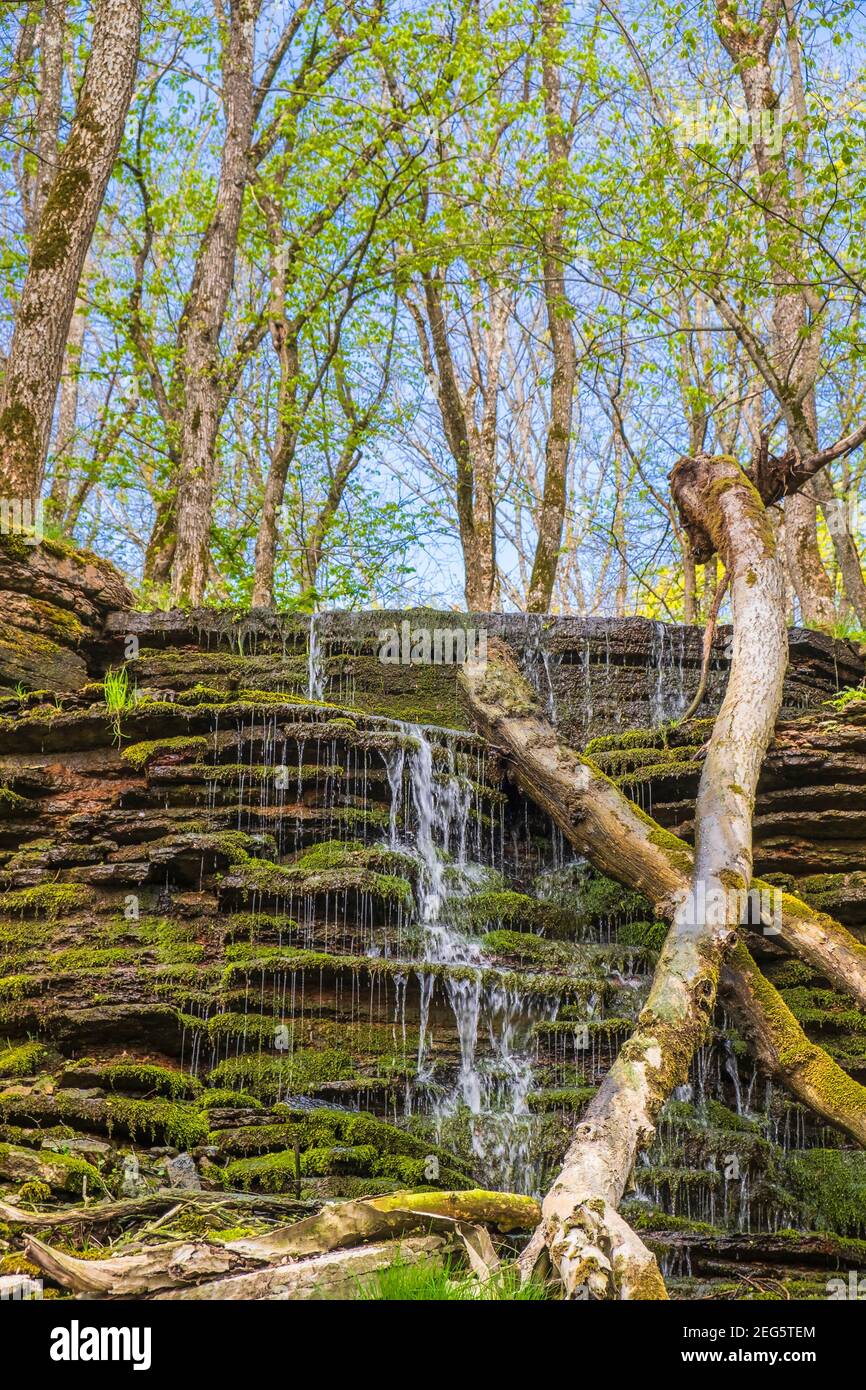 Waterfall on a cliff with old wooden logs Stock Photo - Alamy