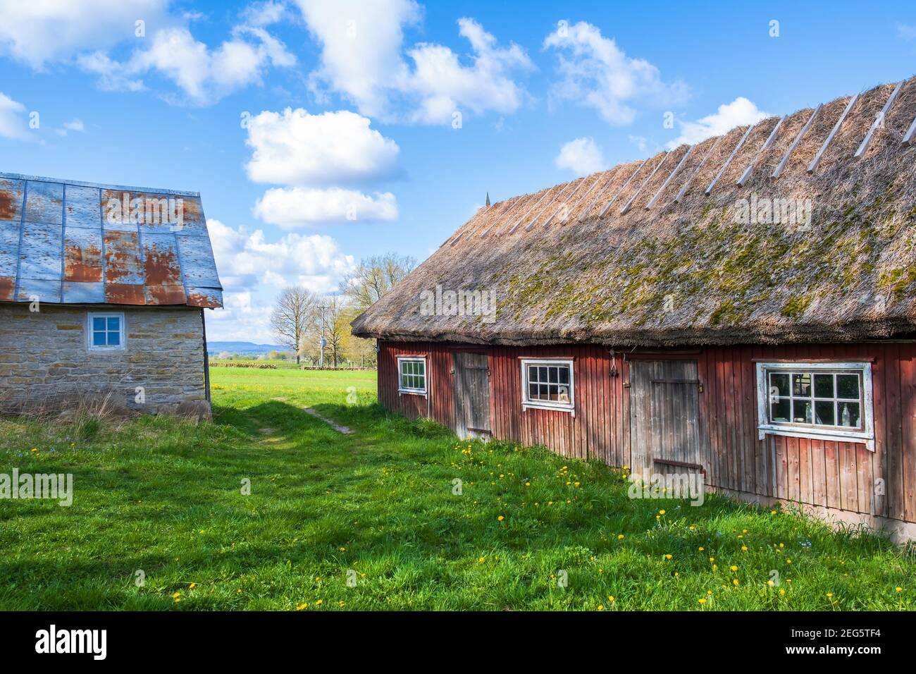 Old barns with thatched roofs in the country Stock Photo - Alamy