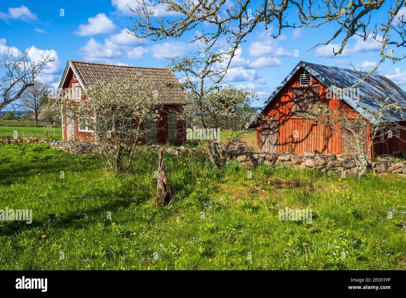 Red farm buildings by an overgrown garden in the spring Stock Photo - Alamy