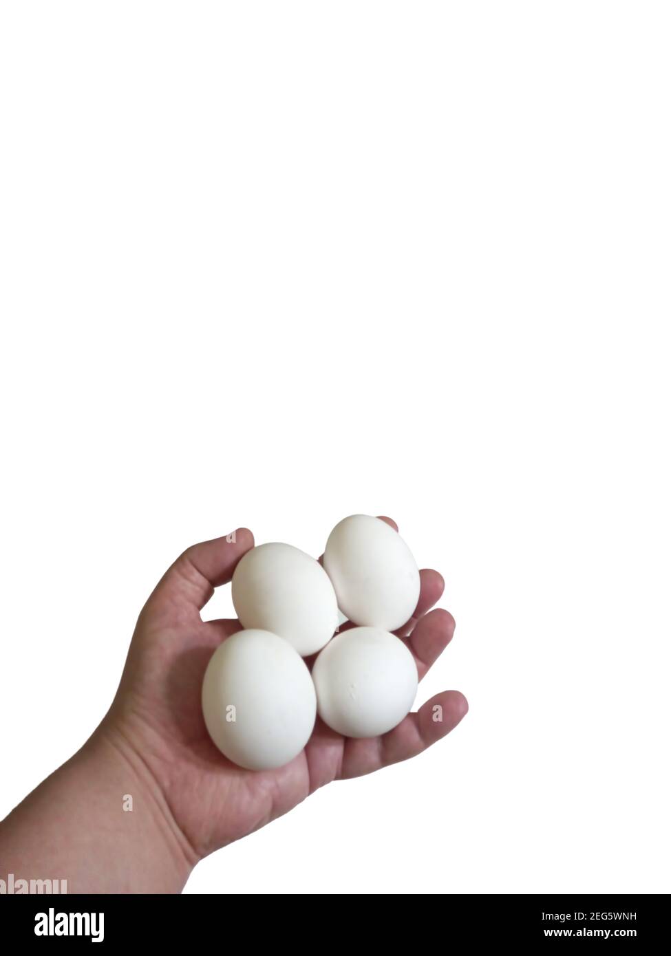 a hand holding four healthy fresh fragile eggs isolated on a white ...