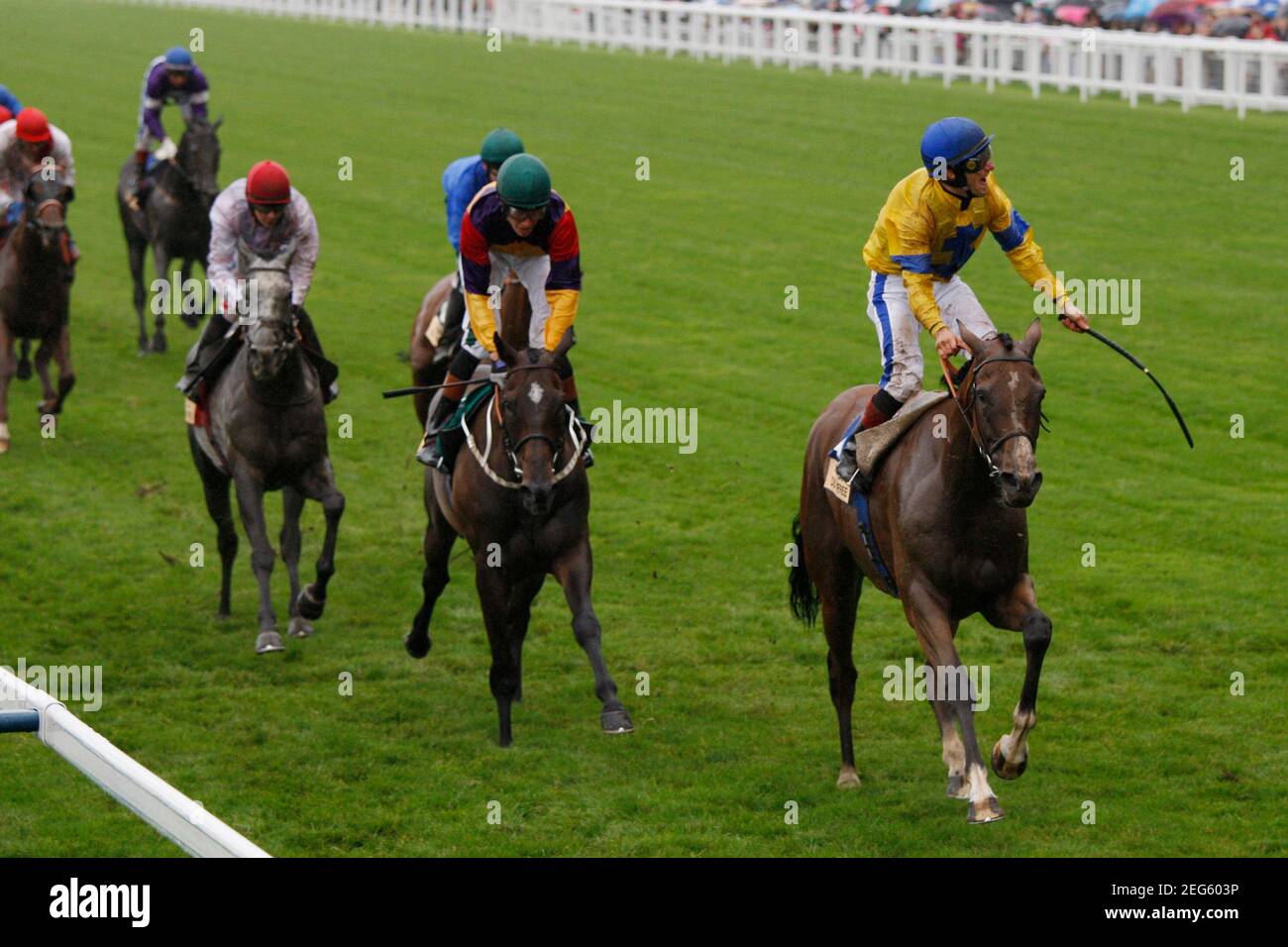 The dubai duty free shergar cup challenge hi-res stock photography and ...