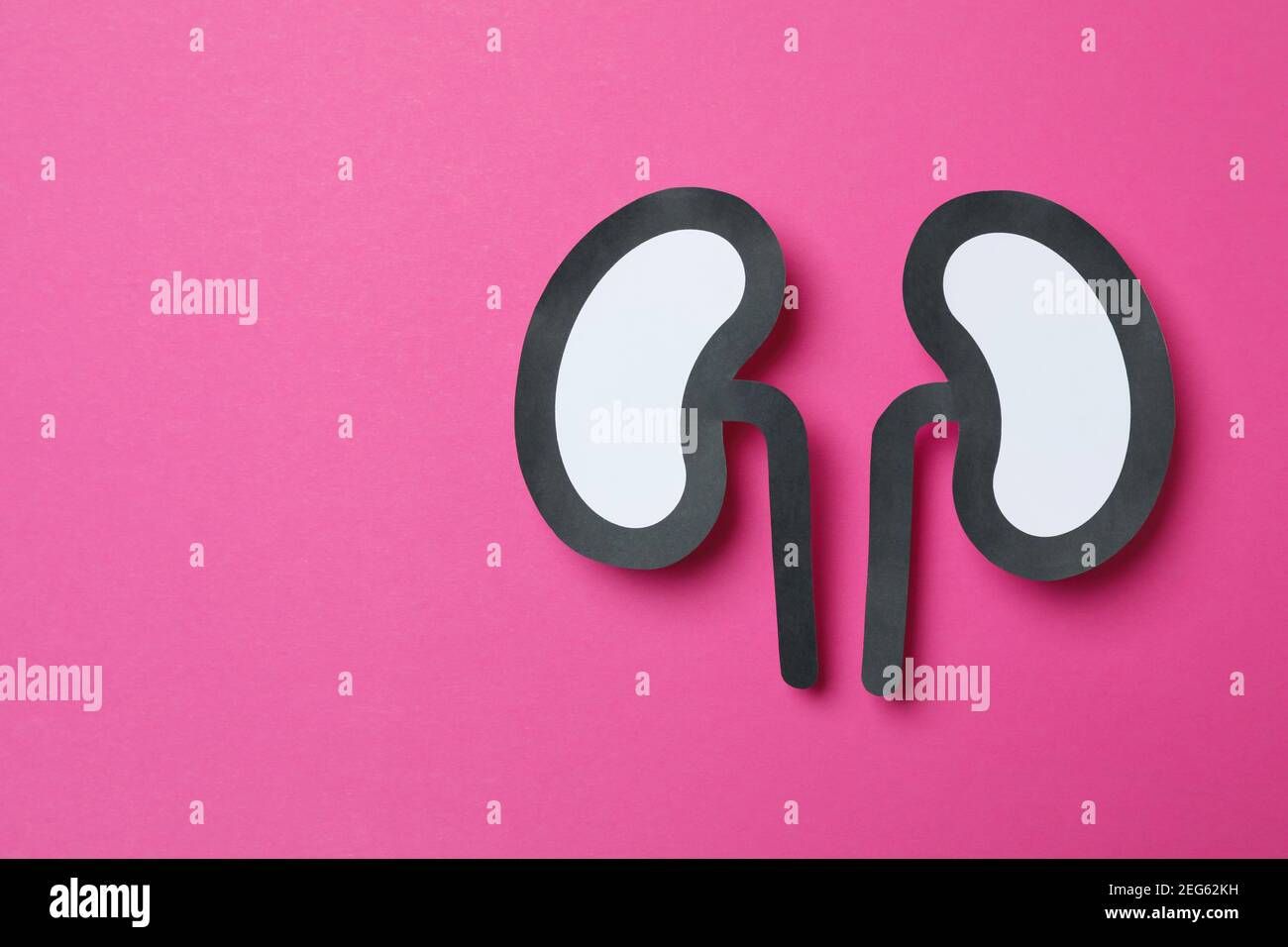 Paper kidneys on pink background, space for text Stock Photo - Alamy