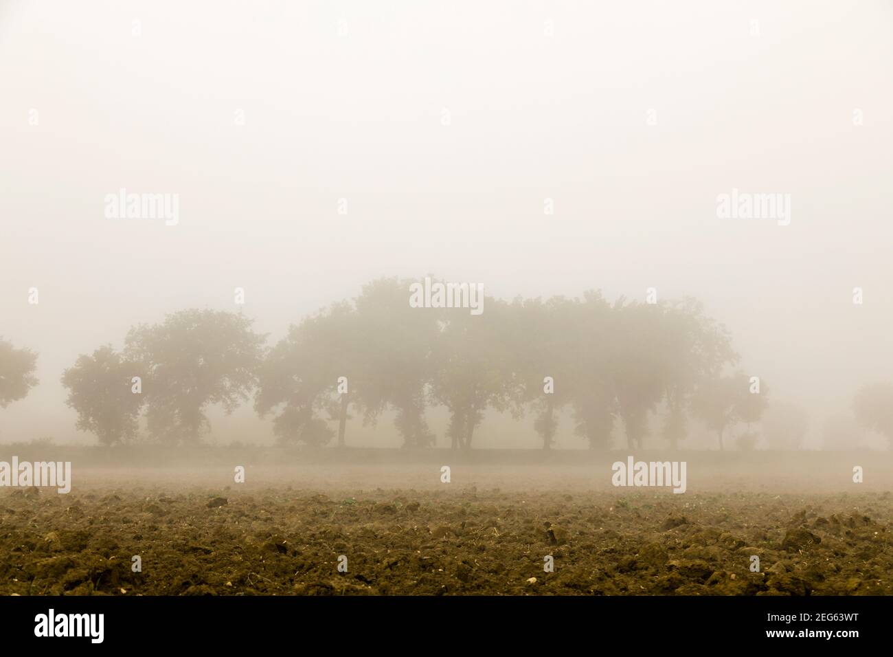 Mist early hi-res stock photography and images - Alamy
