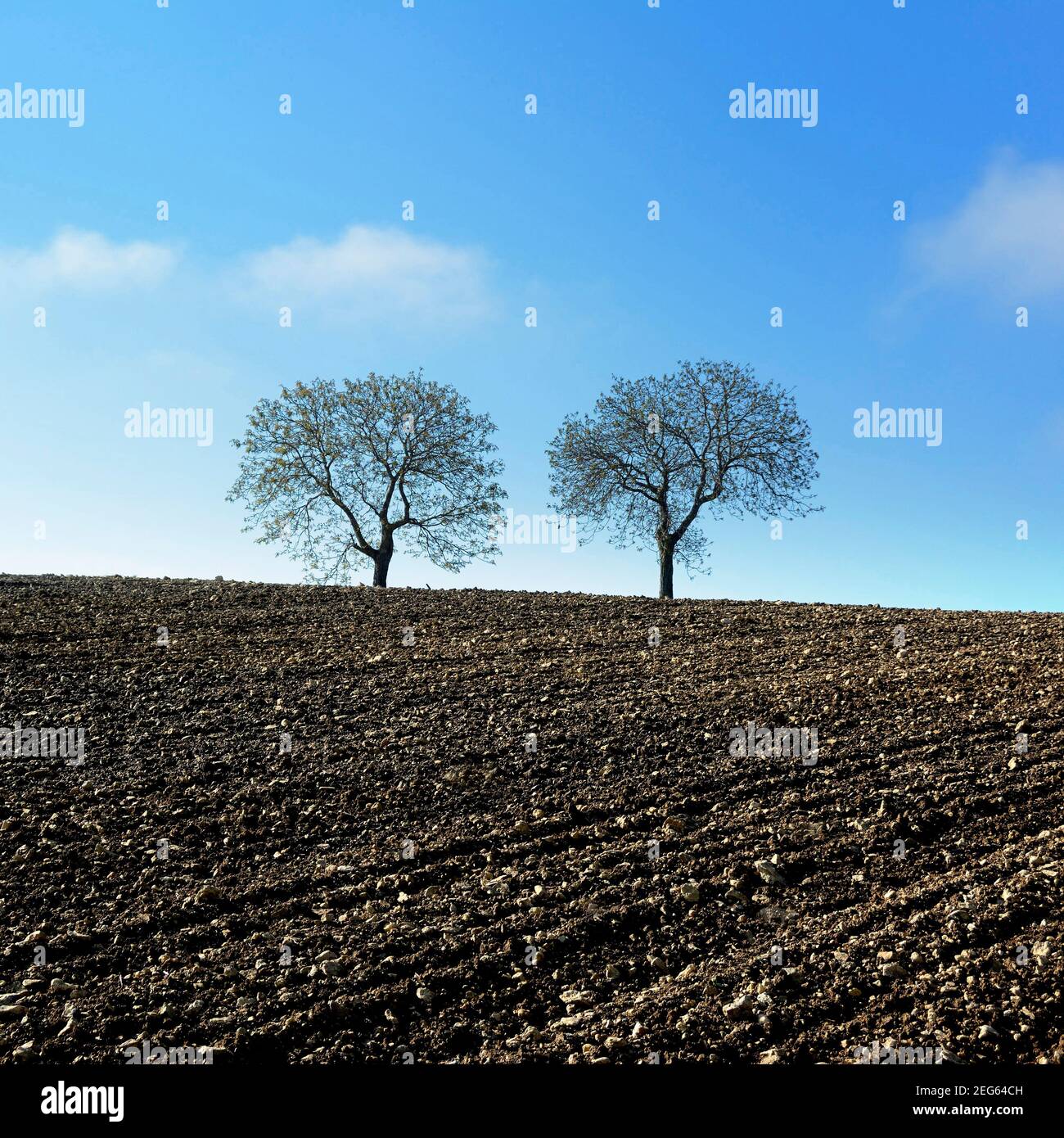 Agrarian landscape hi-res stock photography and images - Alamy