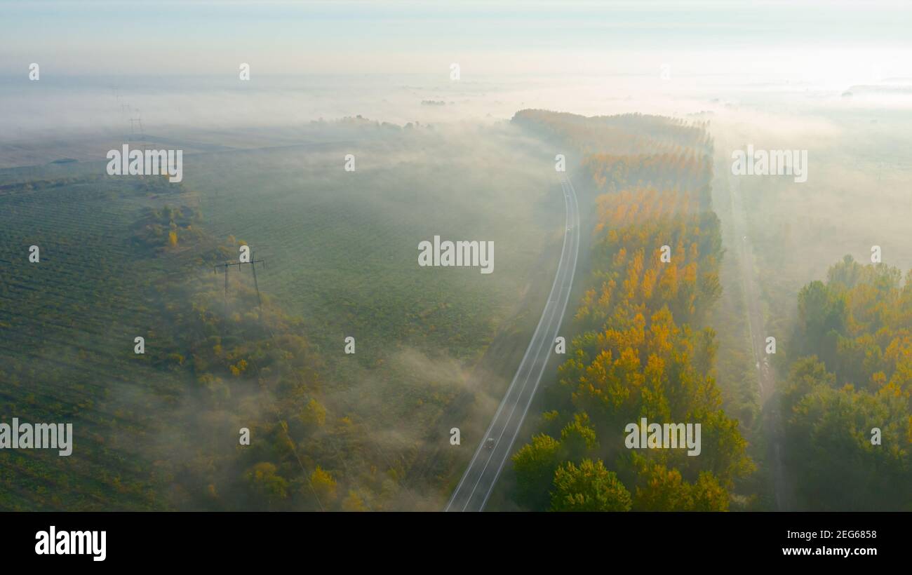 Overhead freeway trees hi-res stock photography and images - Alamy