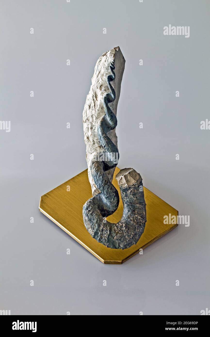 Nautiloid Fossil High Resolution Stock Photography and Images - Alamy