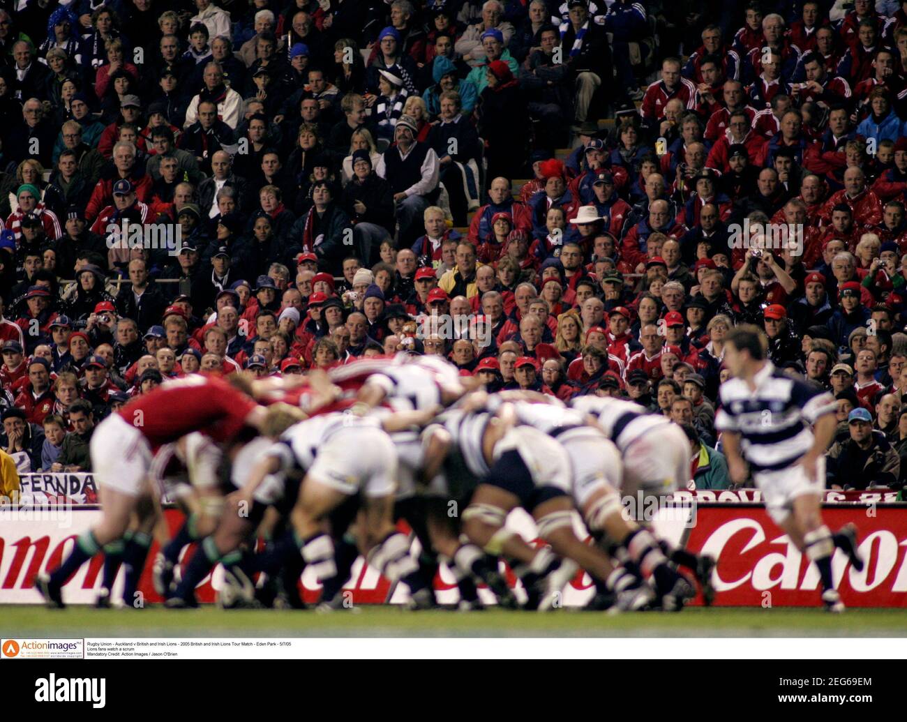 Lions tour rugby fans hi-res stock photography and images - Alamy