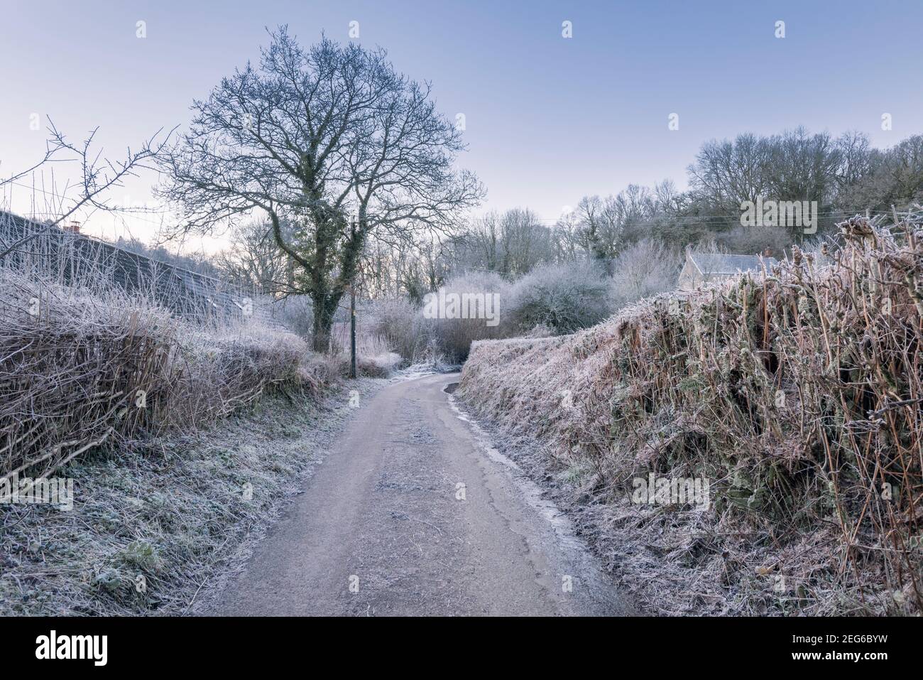 Winter frost in the countryside near Bampton in the Exe Valley, Devon ...