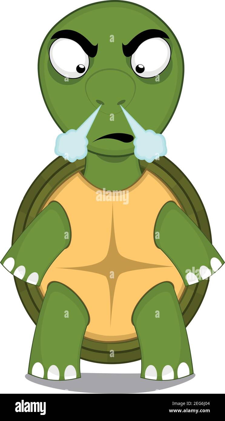 Ninja Turtles Angry Face