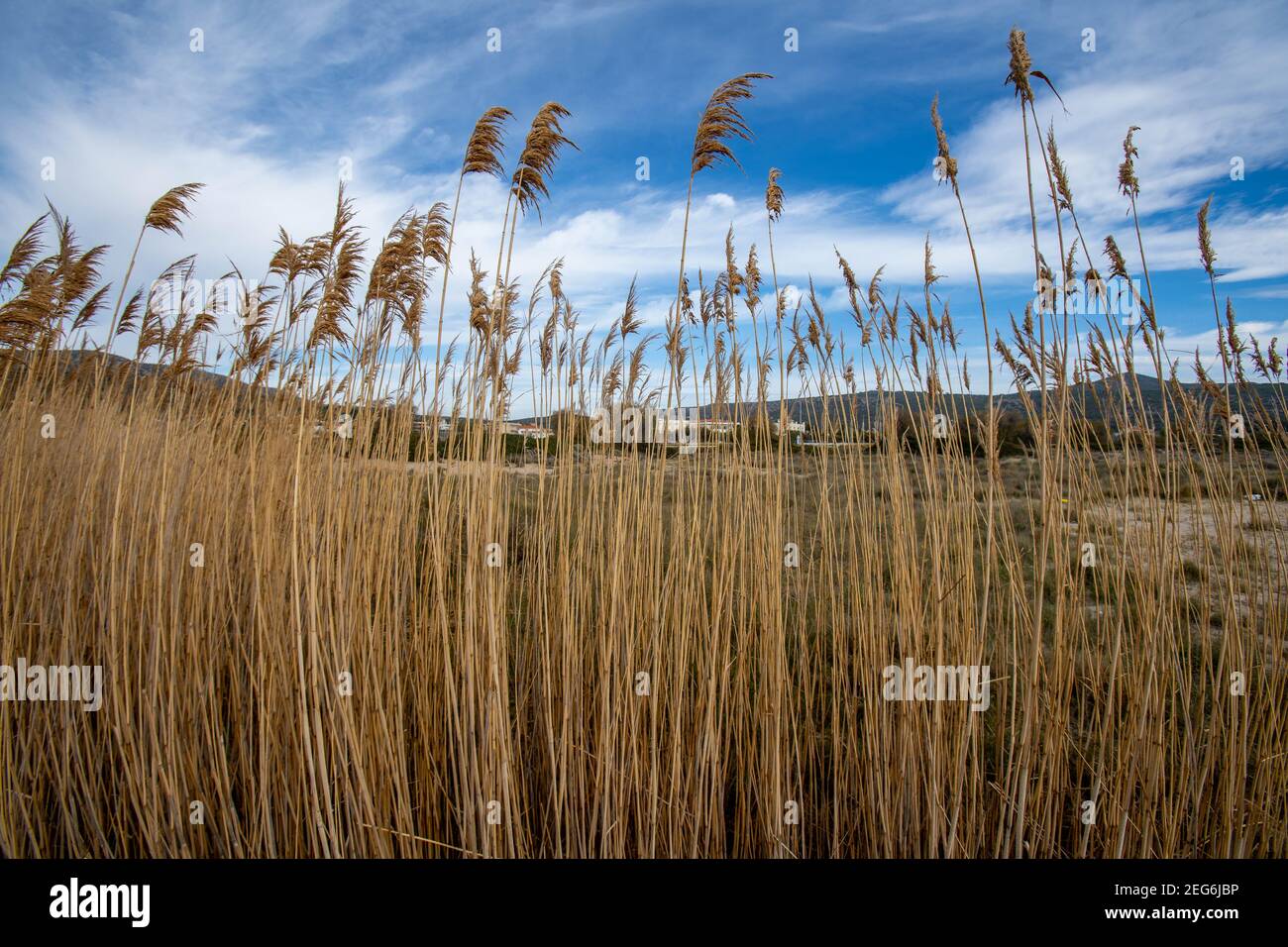 Legrena beach hi-res stock photography and images - Alamy