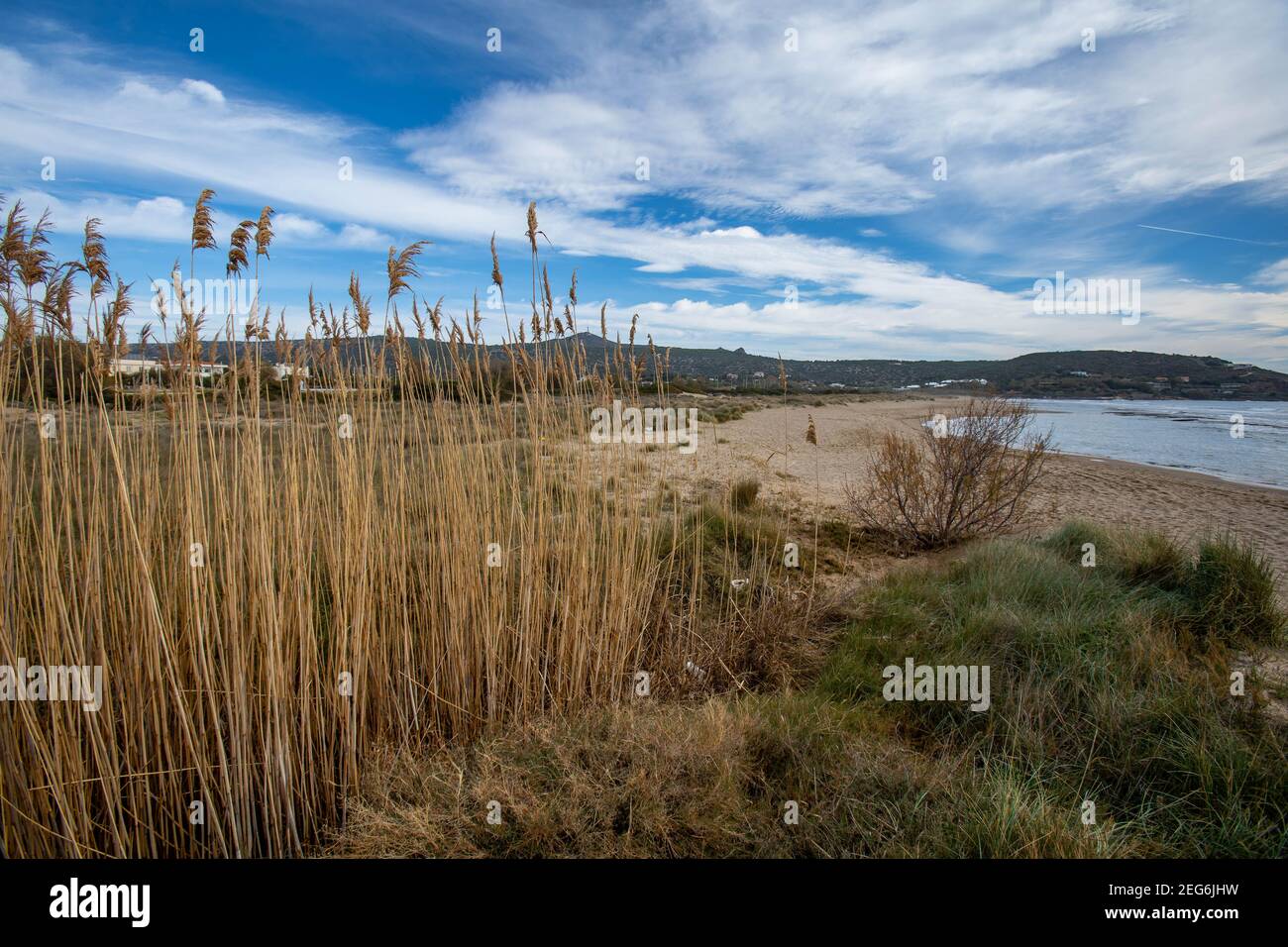 Stubble in a riverbank at Legrena beach,Greece Stock Photo - Alamy