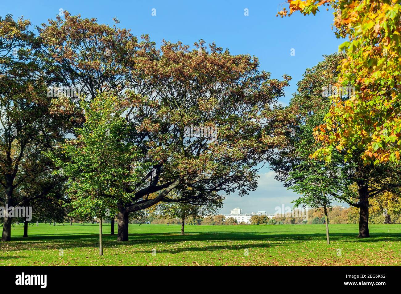 Hyde Park during the autumn fall in London England UK which is a public ...