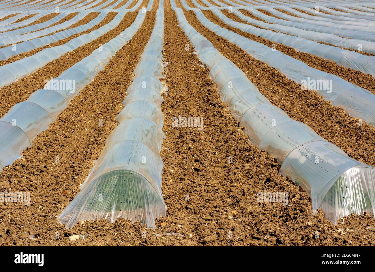 Moisture control techniques hi-res stock photography and images - Alamy