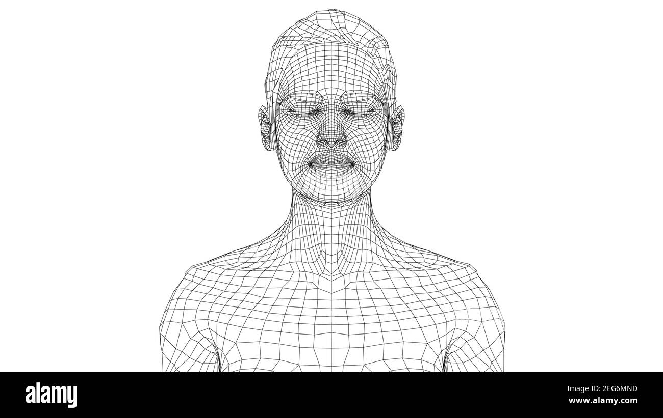 Wireframe portrait of a young beautiful girl Stock Vector Image & Art ...