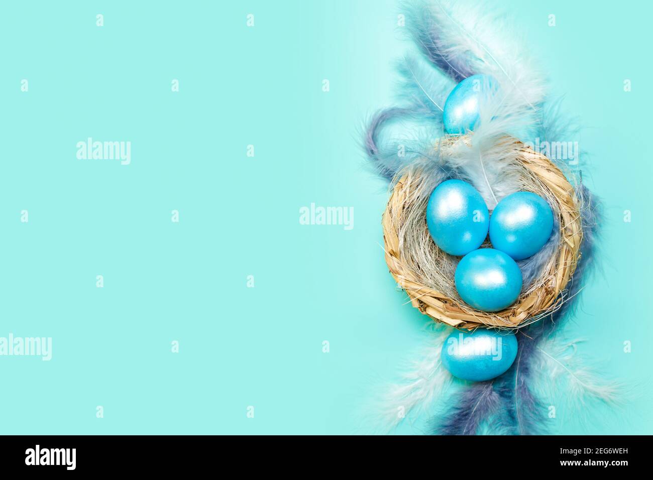 Blue easter background with colored eggs in the nest with feathers, top ...