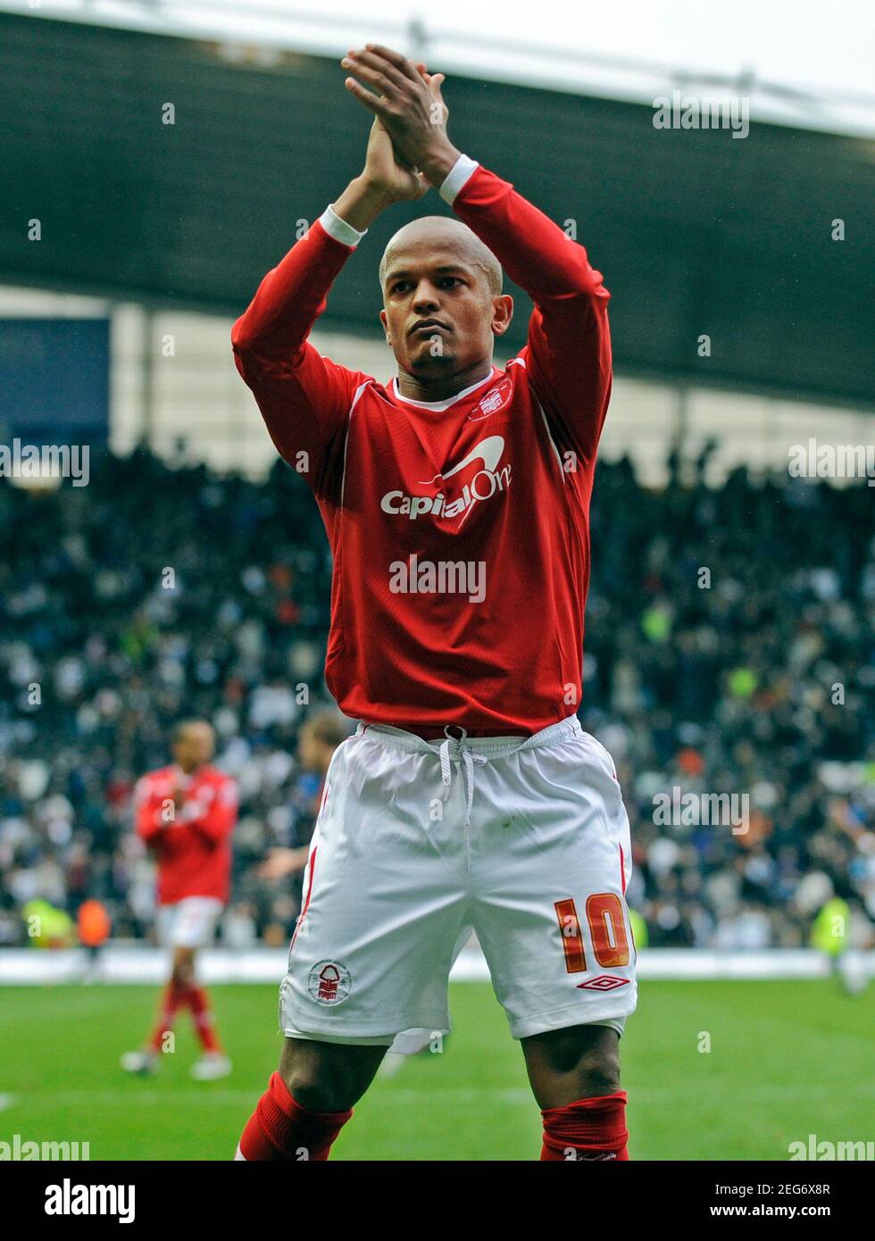 Robert earnshaw forest hi-res stock photography and images - Alamy
