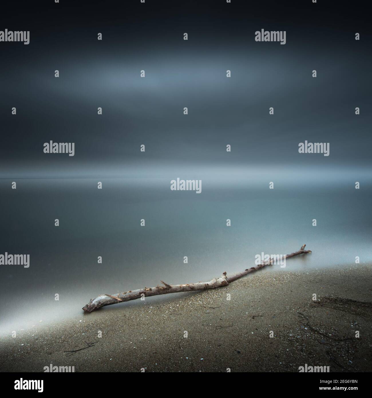 Wooden branch on the sand at the beach Stock Photo - Alamy