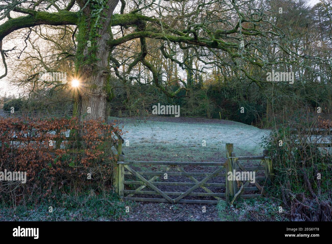 Paddock hill hi-res stock photography and images - Alamy