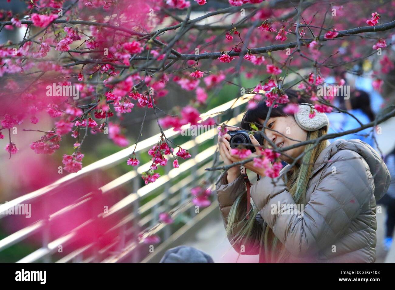 Taipei, Taiwan. 18th Feb, 2021. A Taiwanese lady enjoys the views of ...