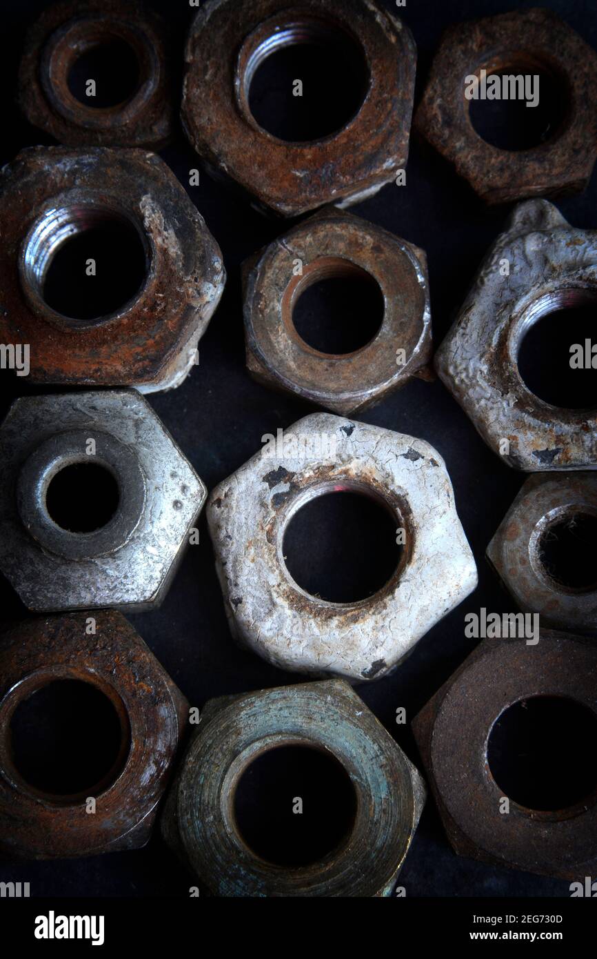 Close-up view of various nuts showcasing different textures and ...
