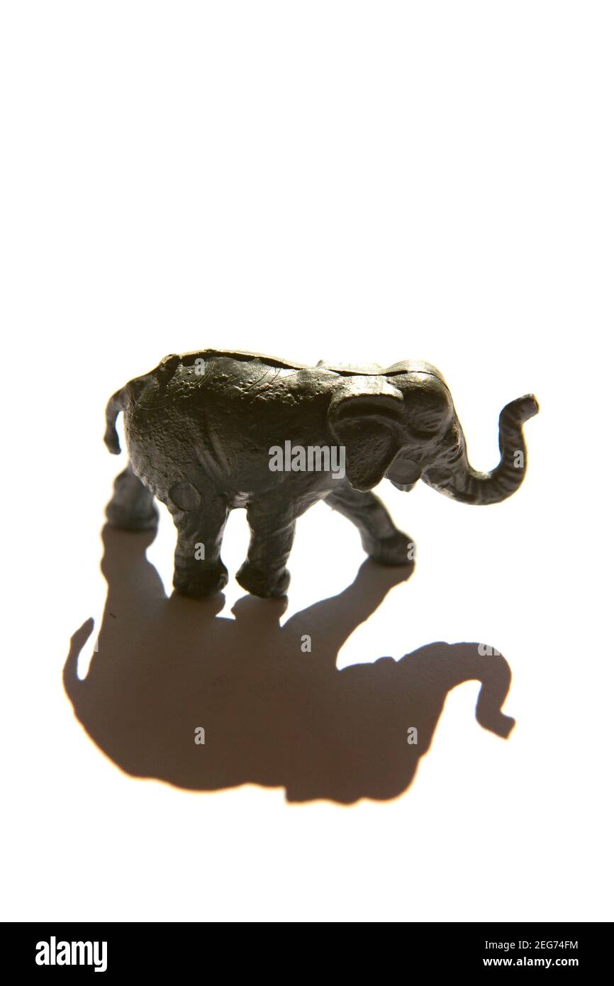 Shadowplay Cut Out Stock Images & Pictures - Alamy
