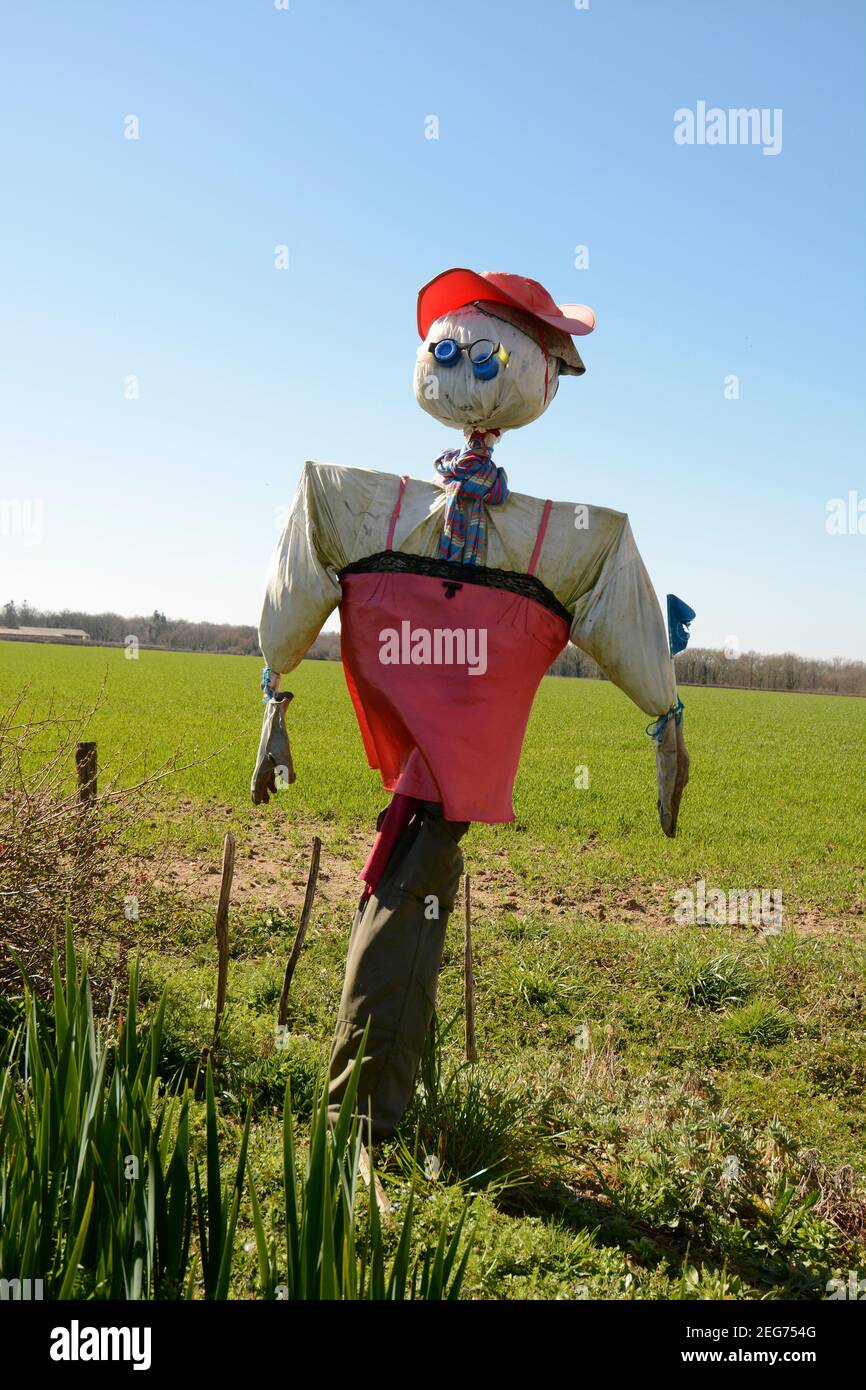 Human scarecrow hi-res stock photography and images - Alamy