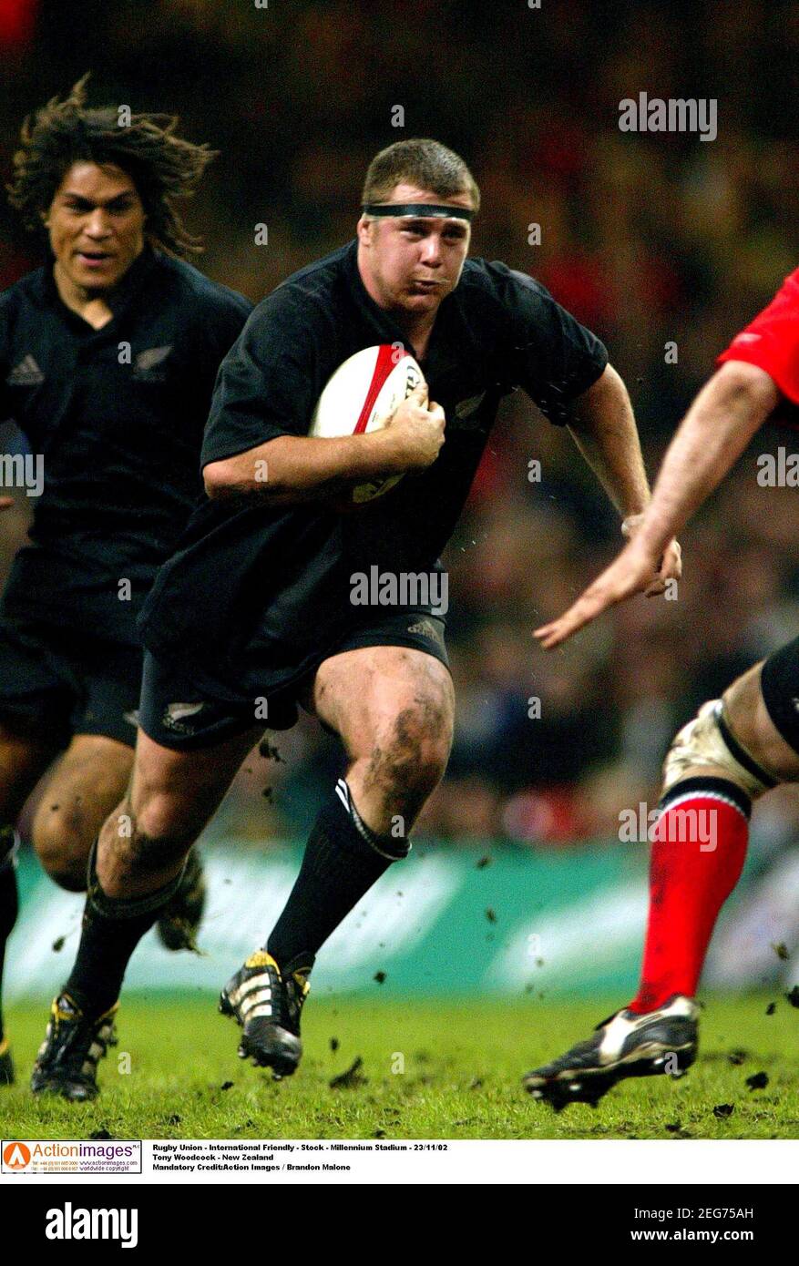 Tony woodcock new zealand hi-res stock photography and images - Alamy