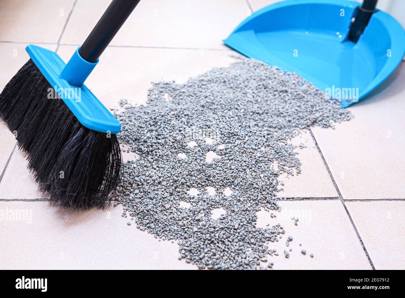 Cat paws and tray litter toilet with a filler on the floor with tiles ...