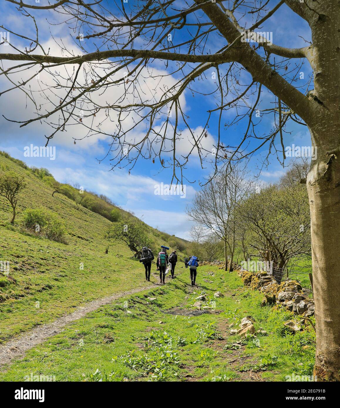 Young hikers or walkers on a footpath through Deep Dale Nature Reserve ...