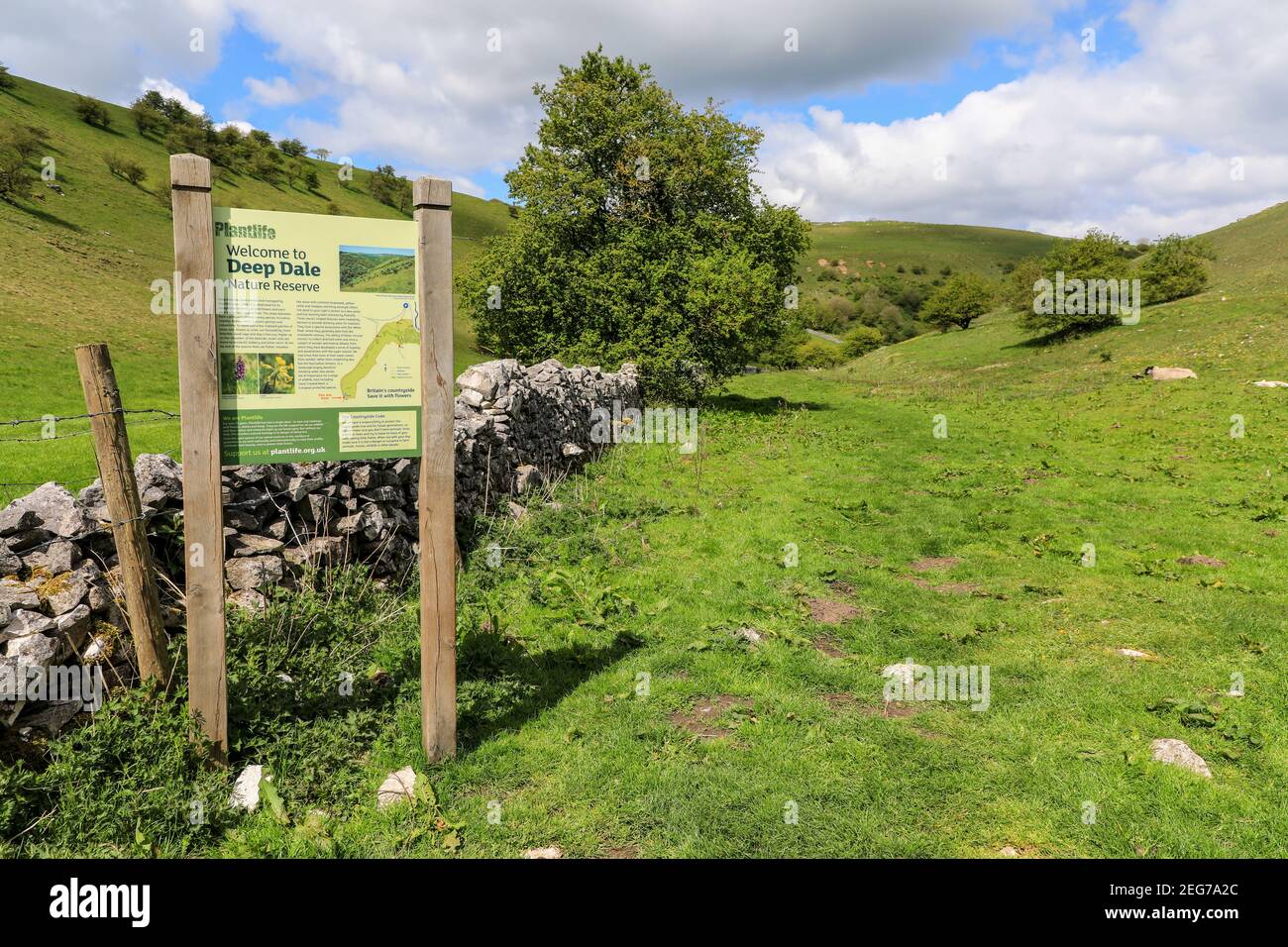 Deep Dale Nature Reserve, owned by Plantlife, Deep Dale, Sheldon ...