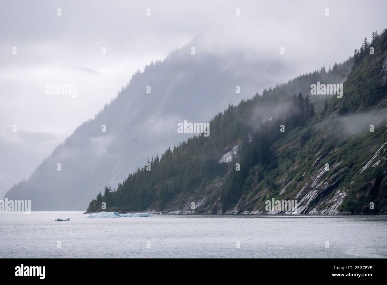 Tracy Arm Fjord in Southeast Alaska Stock Photo - Alamy