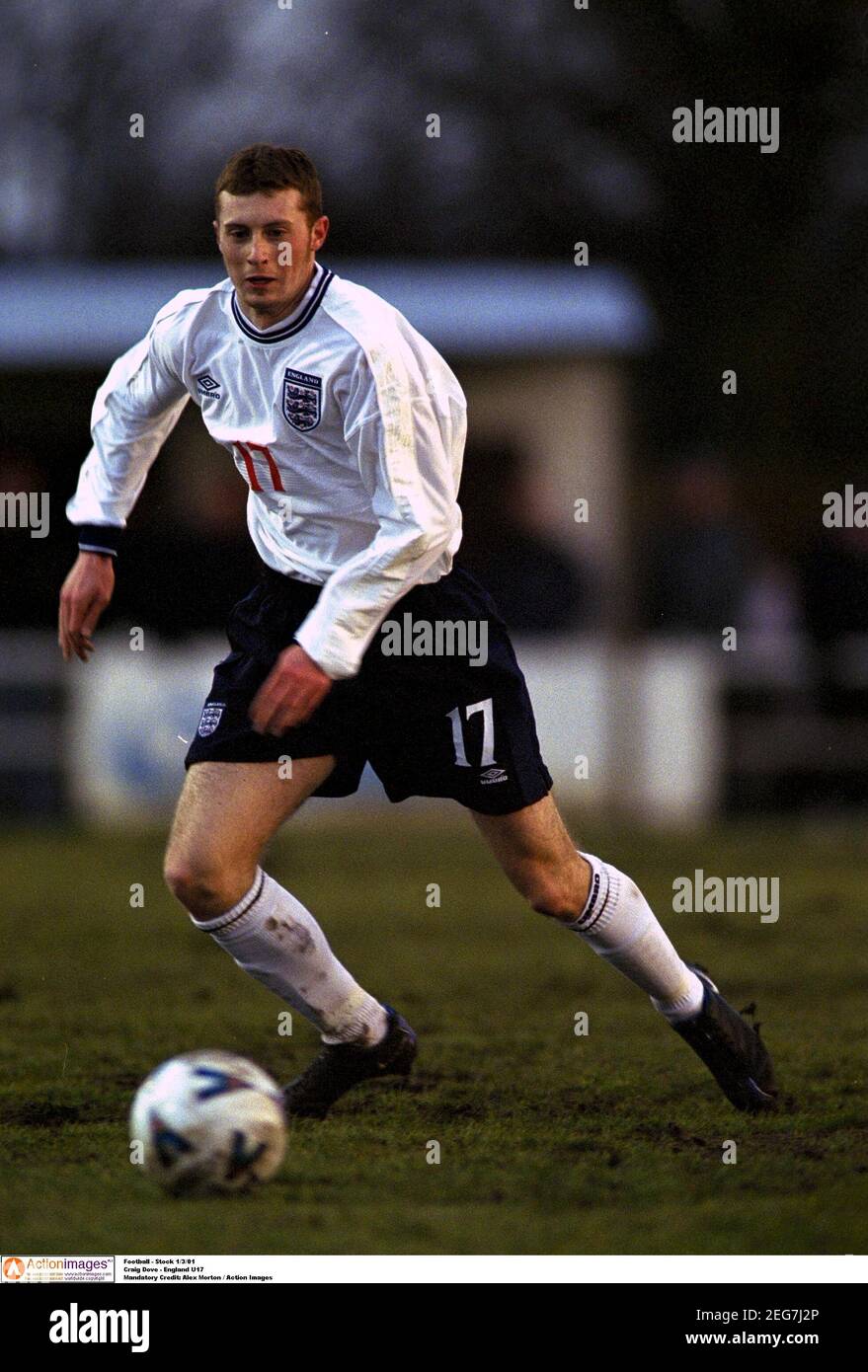 Craig Dove High Resolution Stock Photography and Images - Alamy