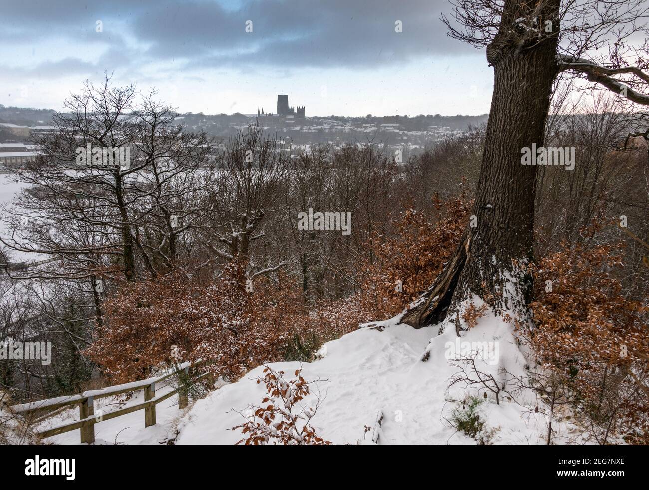 Pelaw hi-res stock photography and images - Alamy