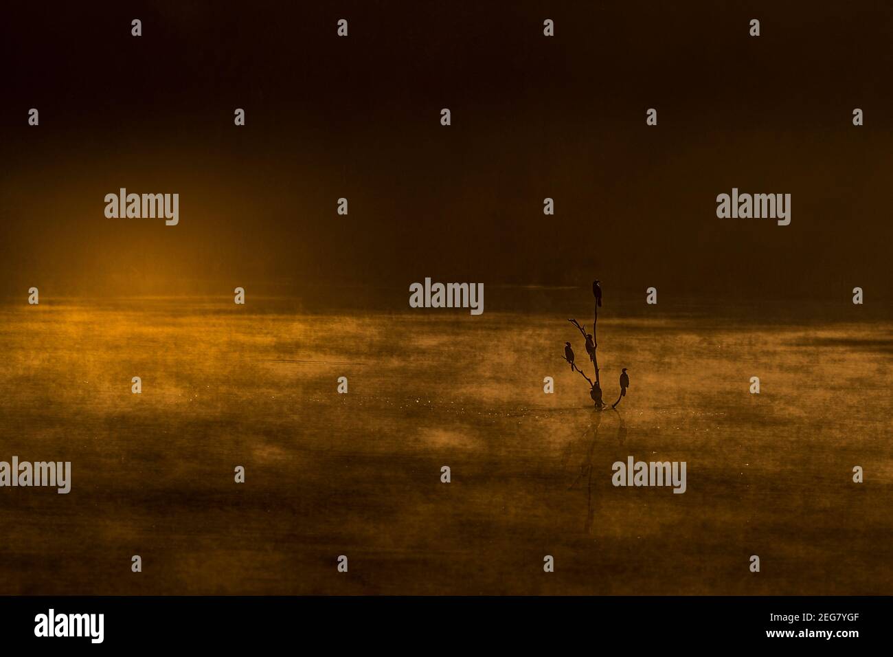 Colors of Nature Stock Photo - Alamy