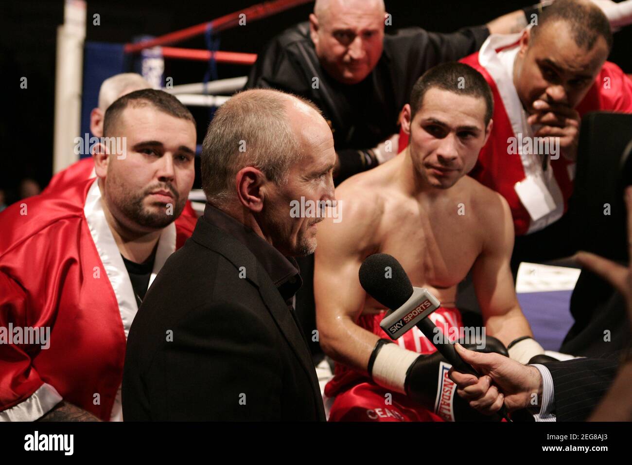 Professional Boxing High Resolution Stock Photography and Images - Alamy