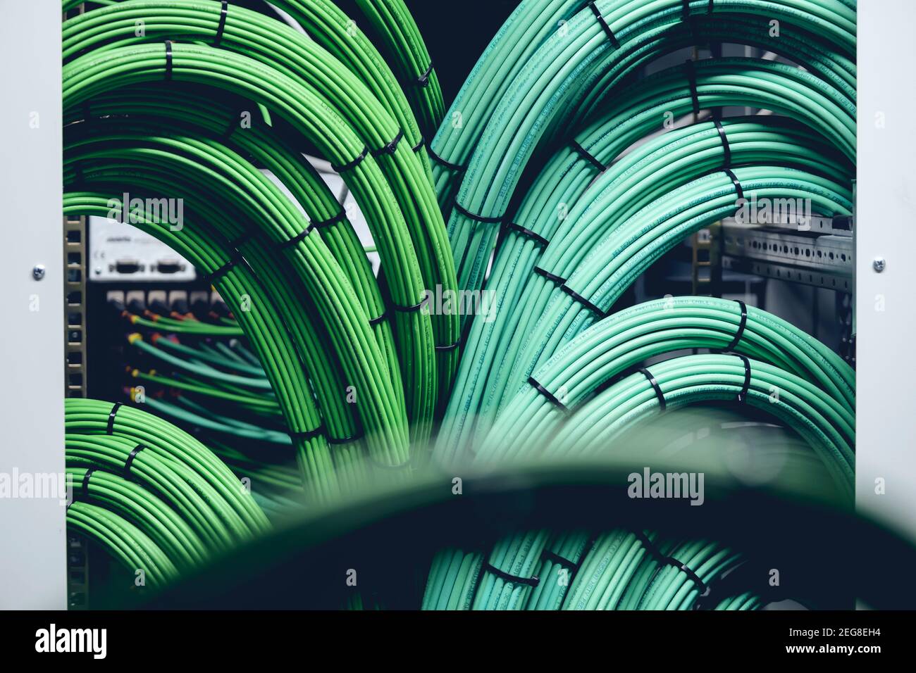 Close up view of internet equipment and cables in the server room ...