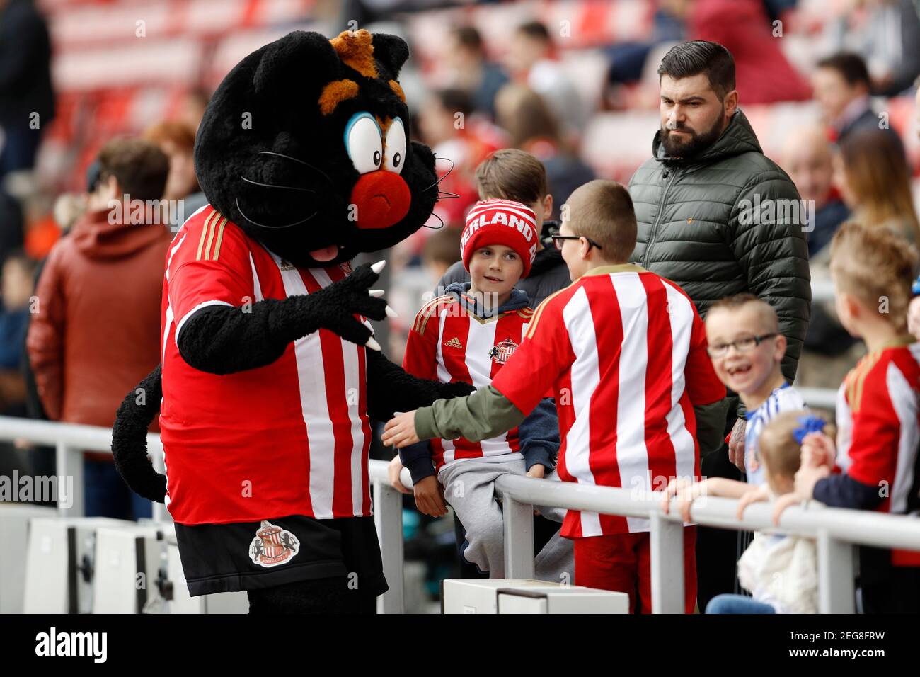 Afc bournemouth mascot hi-res stock photography and images - Alamy