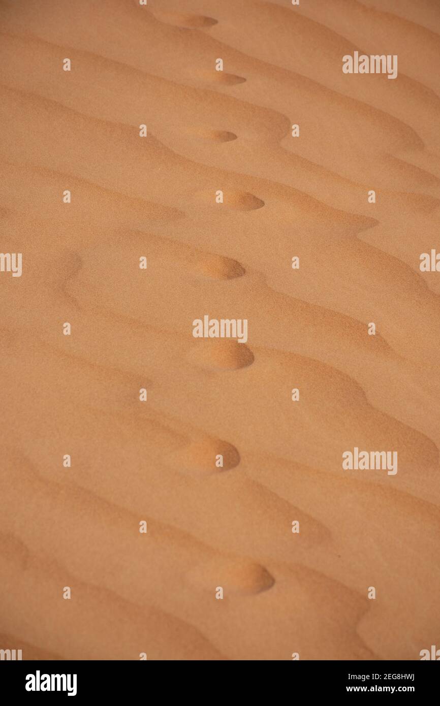 Animal crossing texture hi-res stock photography and images - Alamy