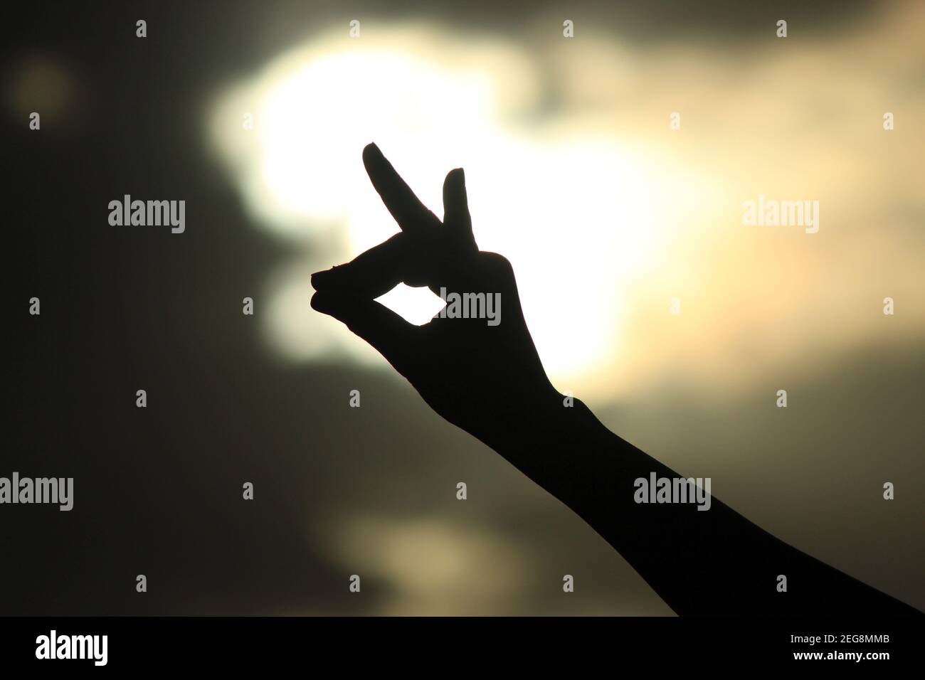 Fox finger hi-res stock photography and images - Alamy