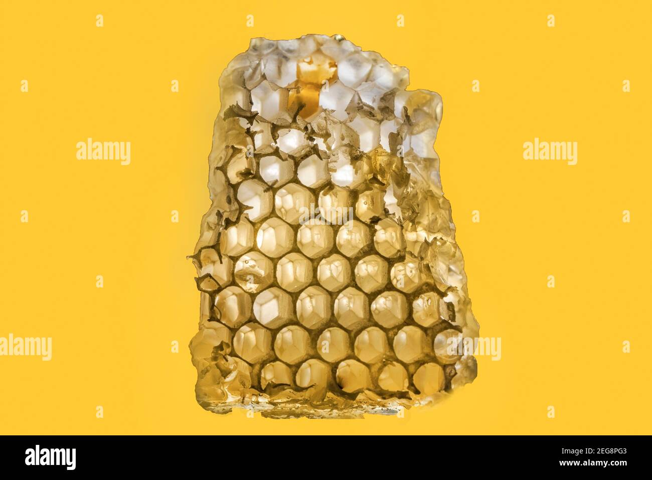 Golden colored honeycomb on a honey colored background, close up ...