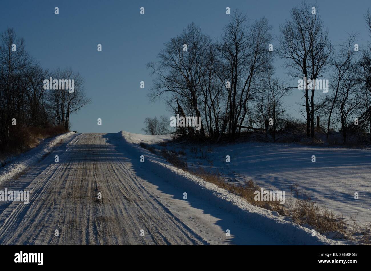 Country road with snow and tree line at end of a farmers field headed ...