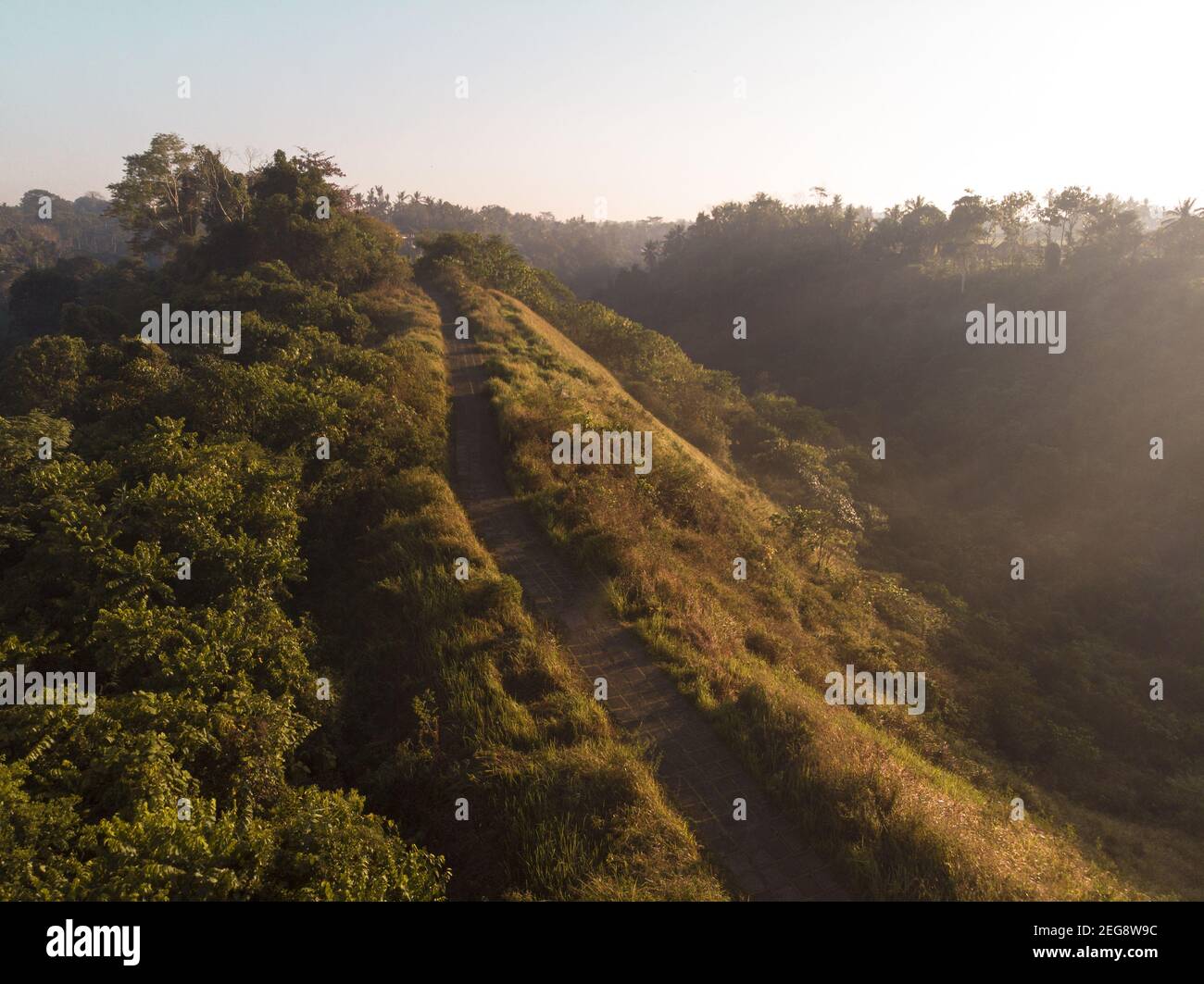 Beautiful view of a hillside pathway with sun rays in Bali, Indonesia ...