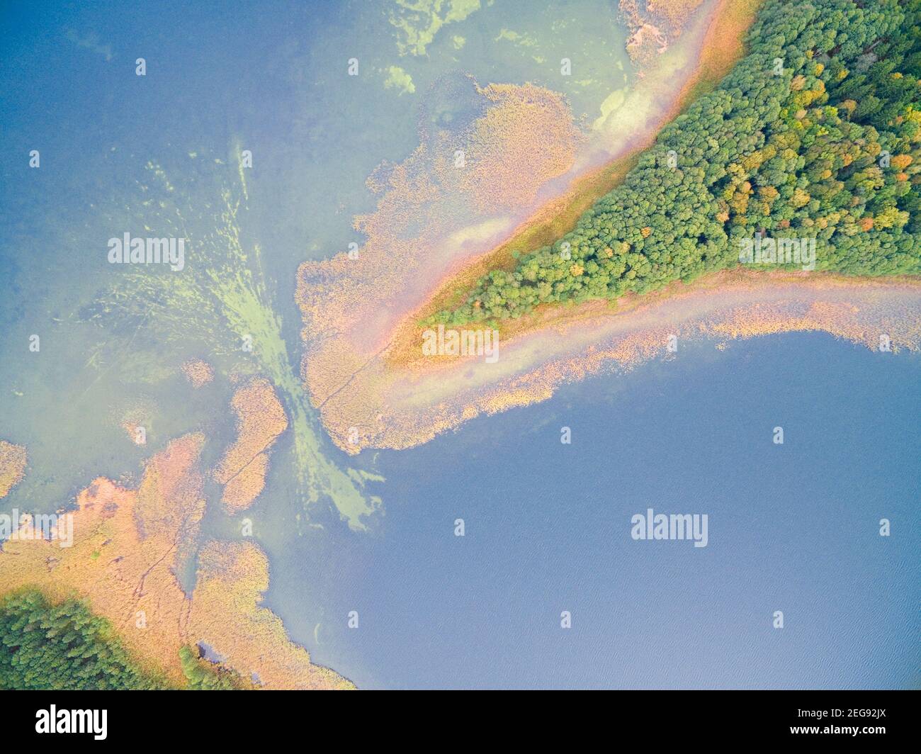 Colorful autumn view of Mamry Lake and Upalty island - the biggest ...