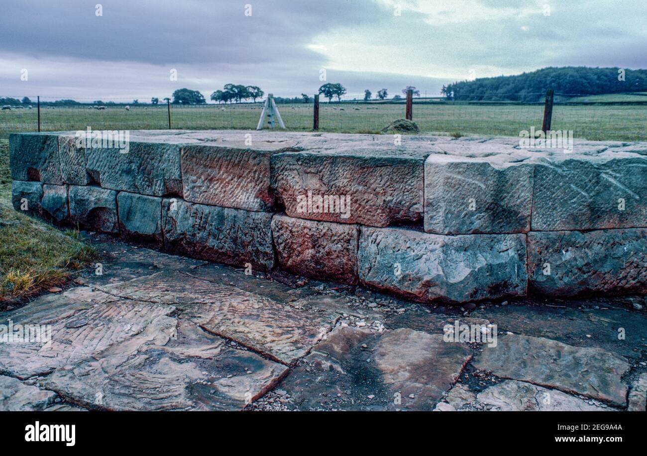Abutment and pavement (or a causeway) remains at Piercebridge Roman ...