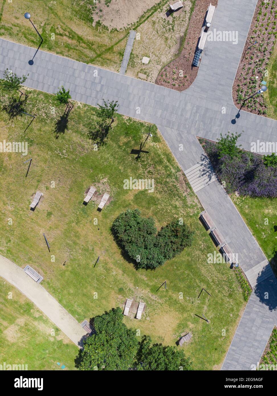 Top down aerial view of alleys with bushes and lamps around Stock Photo ...